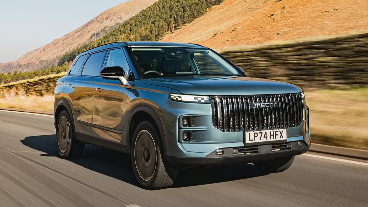 The 'Temu Range Rover' that's become a sales sensation: Britons bought ...