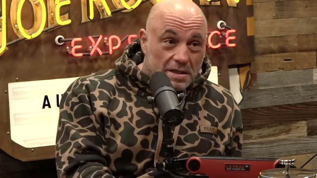 White House responds to Joe Rogan's warning that ICE behavior in ...