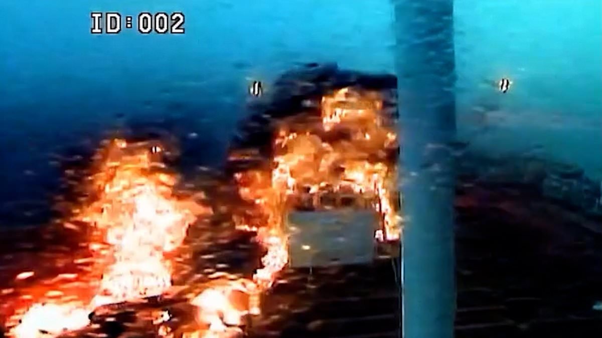 Dramatic video of moment fireball erupts as container ship ploughs into ...